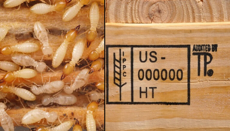 ISPM Pallets: Bypassing Wood Pallet Requirements for ISPM 15 - iGPS